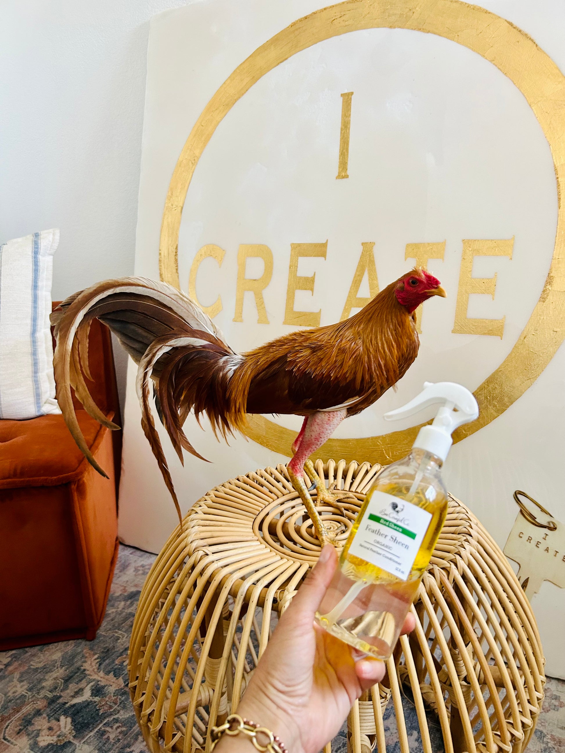 Bird Sheen - Organic Feather Conditioning Spray – Bee Cowgirl Co.